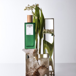 WOMEN'S PERFUMES LOEWE MIAMI