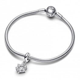CHARMS PANDORA SHINY PET PAW PENDANT CHARM 792247C01